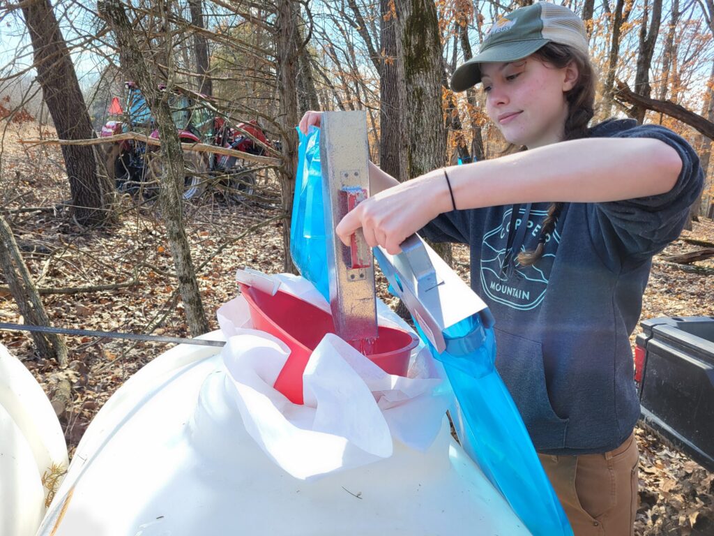 More than Maple: Tree Syruping in Missouri | The Center for Agroforestry